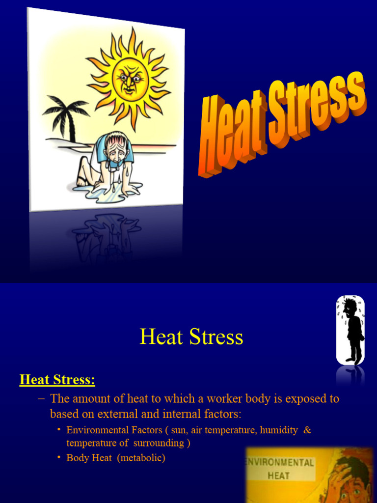 HEAT STRESS Presentation | PDF | Hyperthermia | Perspiration