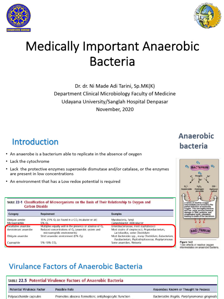 10 Medically Important Anaerobic Bacteria | PDF | Lipopolysaccharide ...