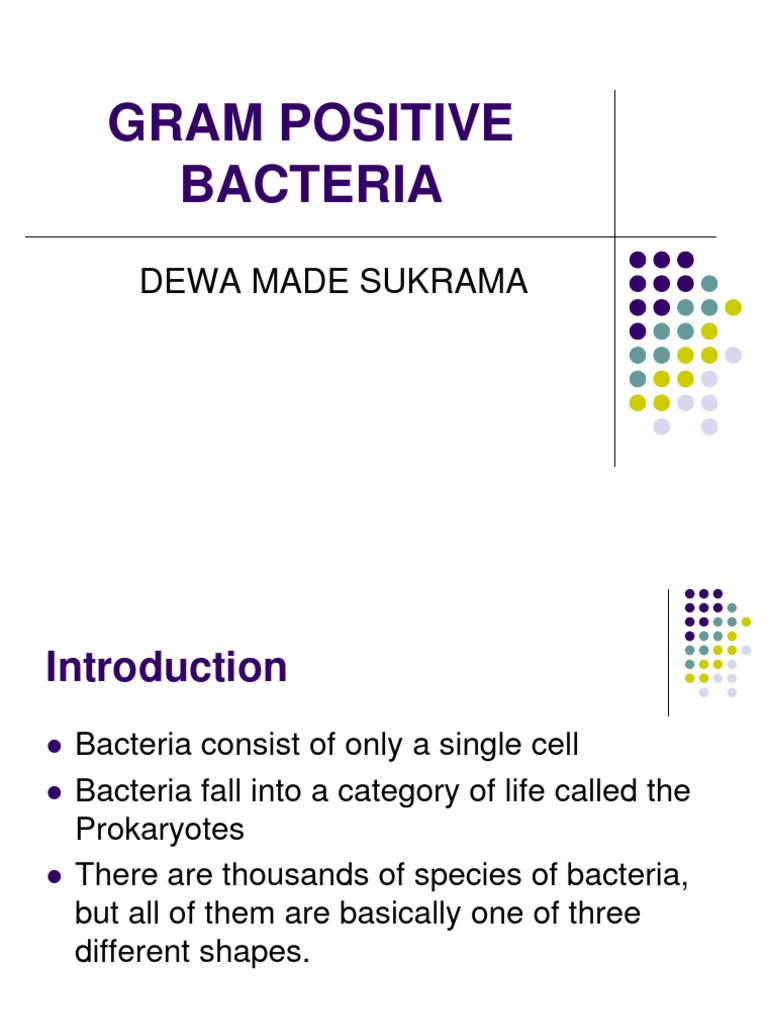 7 8. Gram Positive Bacteria | PDF | Streptococcus | Gram Positive Bacteria