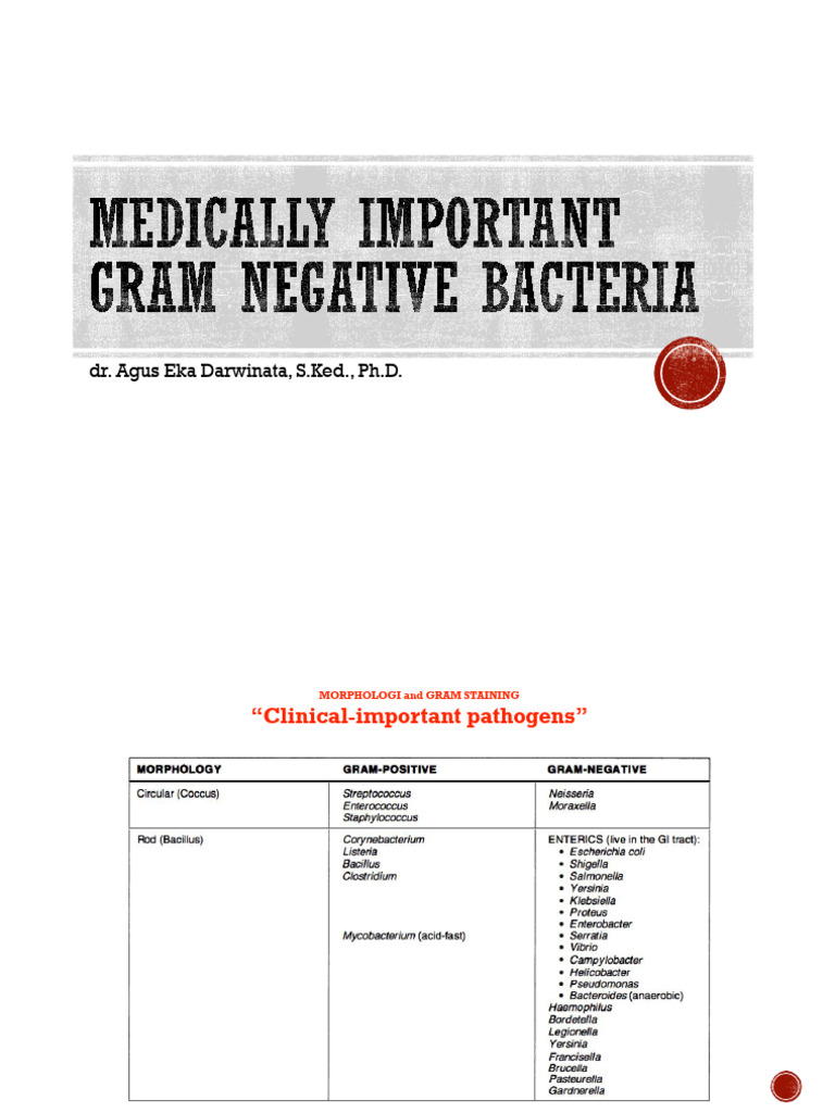9 Medically Important Gram Negative Bacteria | PDF