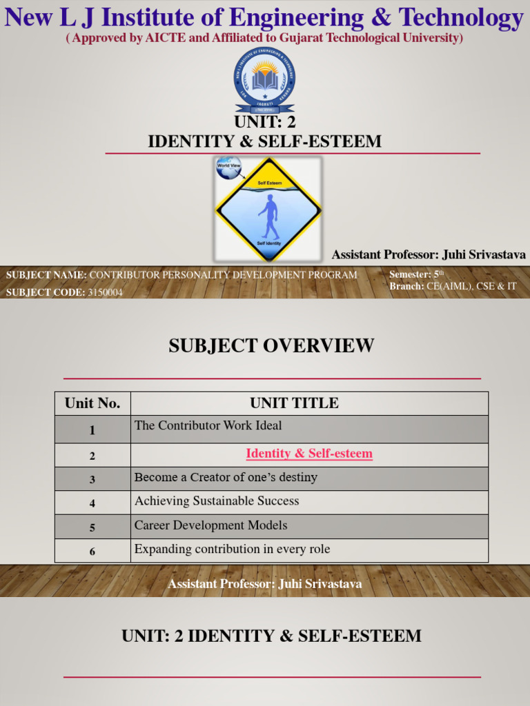Identity & Self-Esteem for Engineers | PDF | Self Esteem | Social Psychology