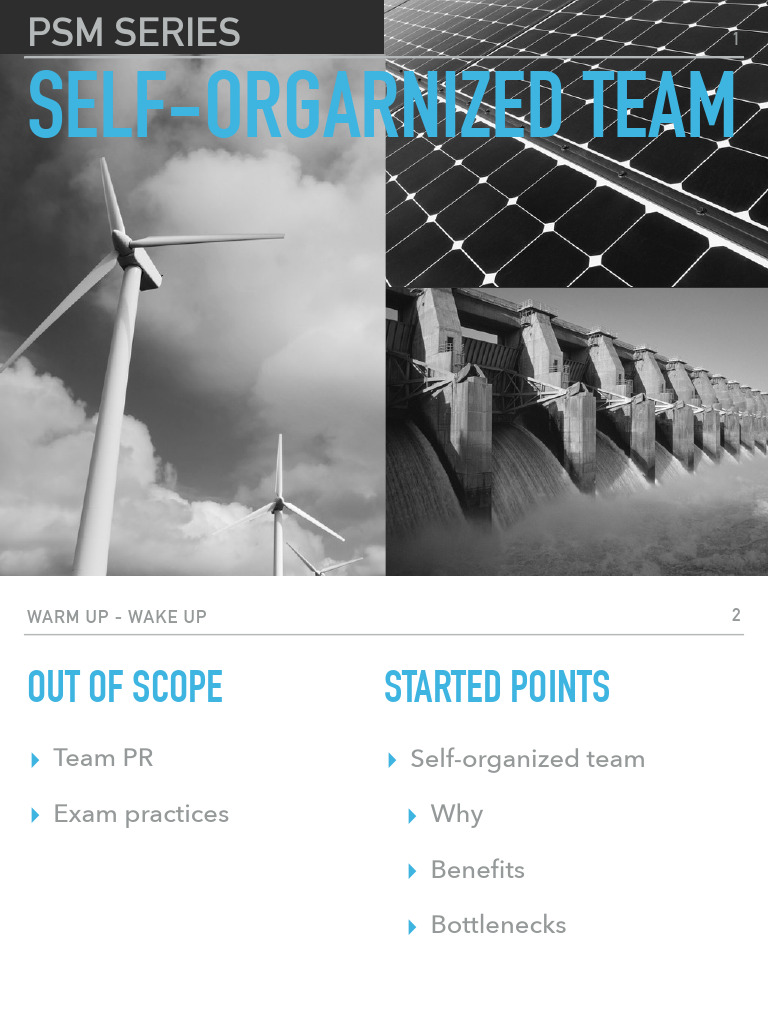 Self Organized Team | PDF