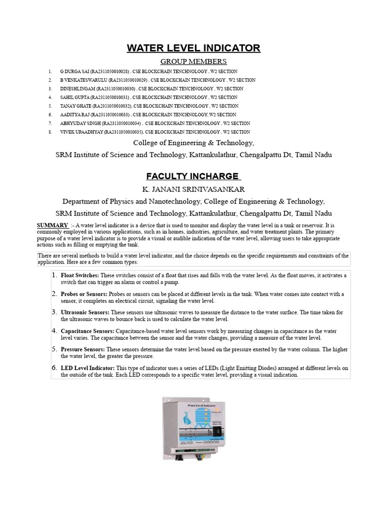 Mini Project Template-2 | PDF