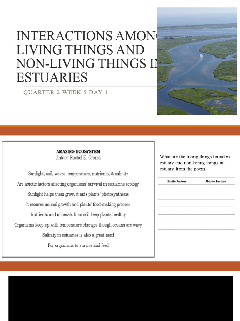 Interactions Among Living Things and Non-Living Things in Estuaries | PDF