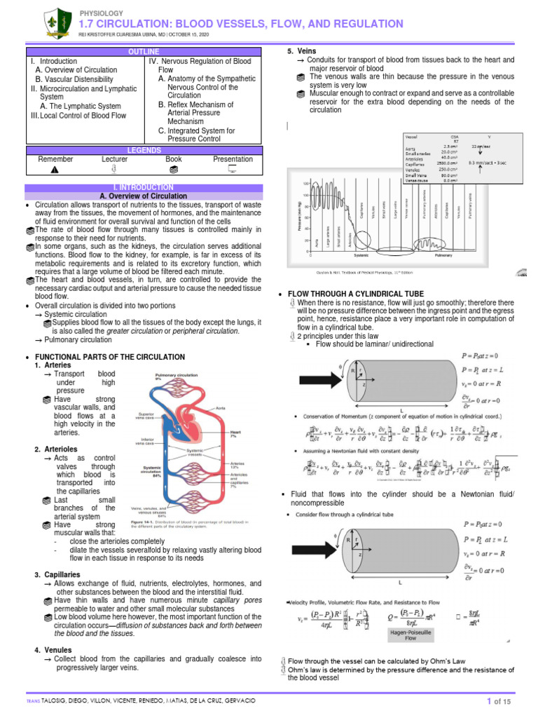 Blood Circulation: Vessels and Flow Dynamics | PDF | Blood Pressure ...
