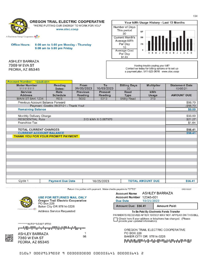 Utility Bill | PDF