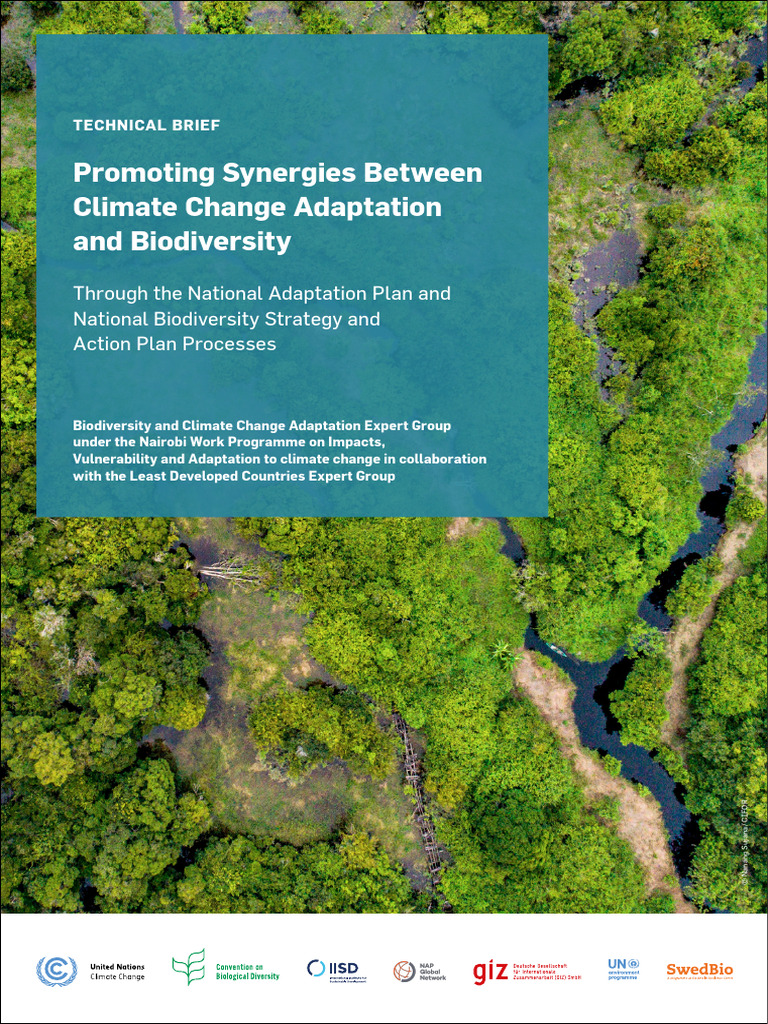 UNFCCC NWP Synergies NAP NBSAP Technical Brief | PDF
