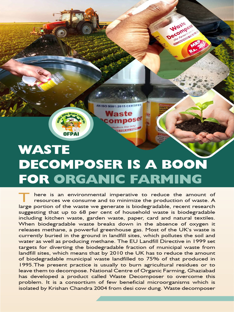 7-Waste Decomposer | PDF