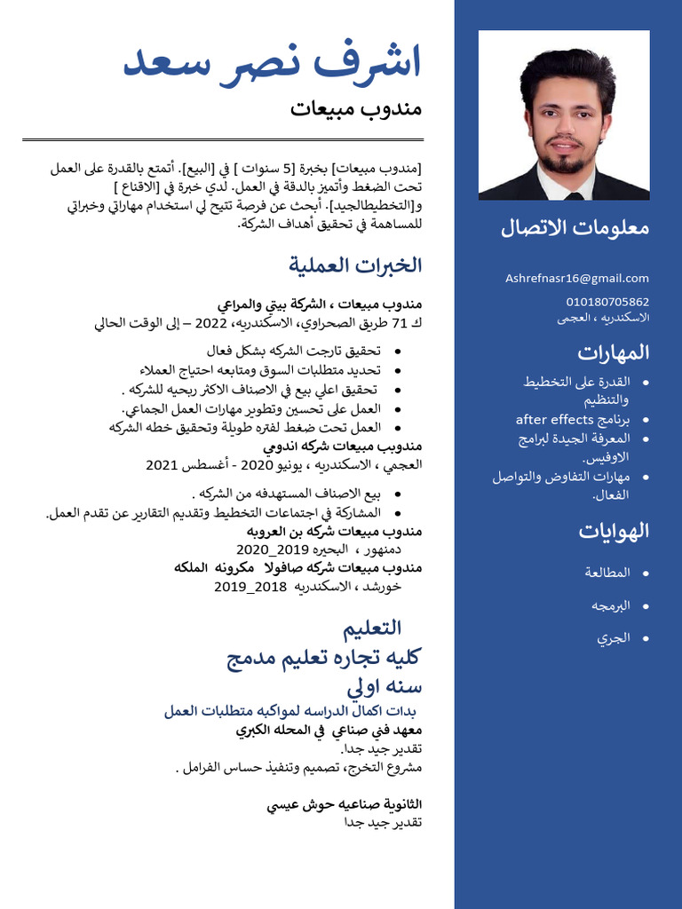 CV Ashraf Nasr 2 | PDF