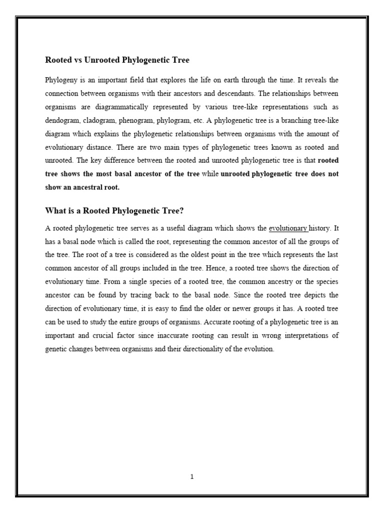 Rooted Vs Unrooted Tree | PDF | Phylogenetic Tree | Phylogenetics