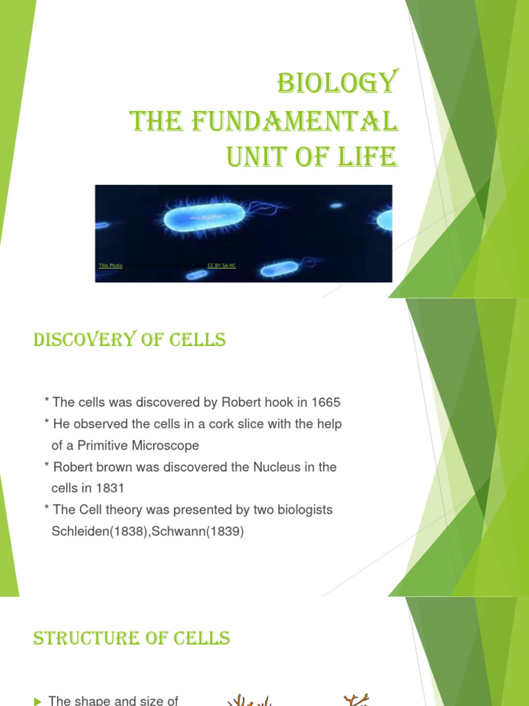 Overview of Cell Structure and Functions | PDF | Endoplasmic Reticulum ...