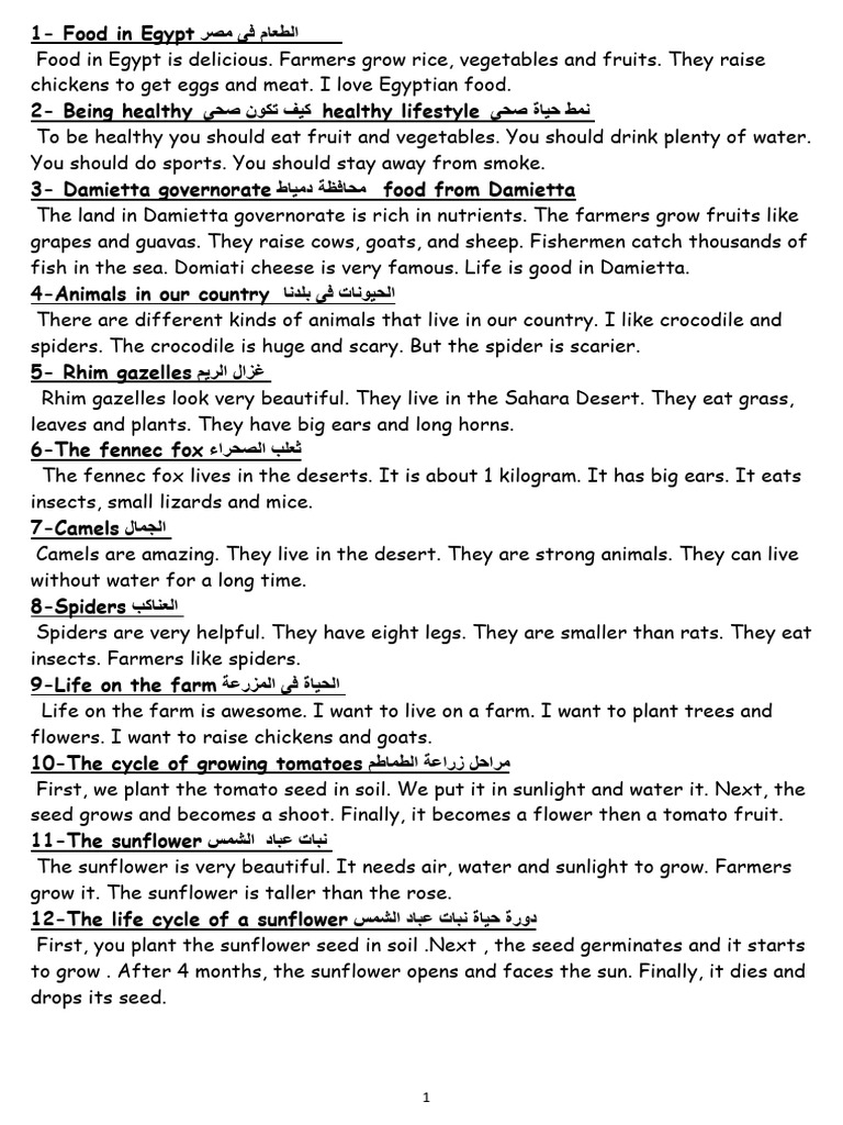 Primary Four Paragraphs | PDF | Home & Garden