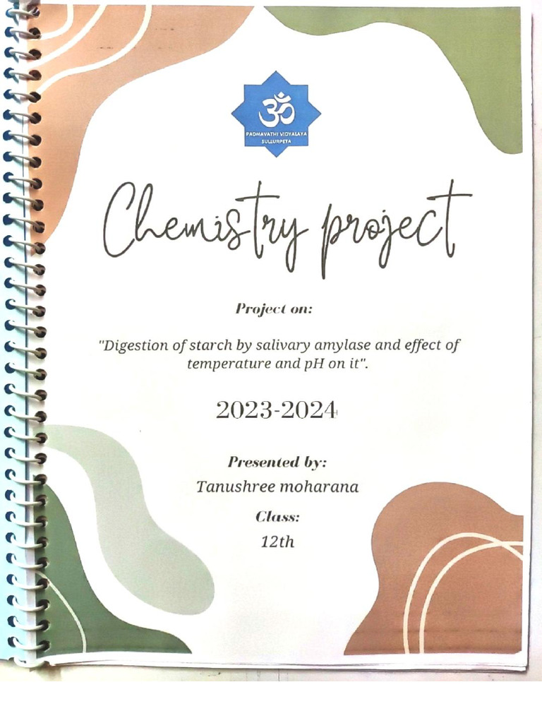 Che Project - (TM) | PDF