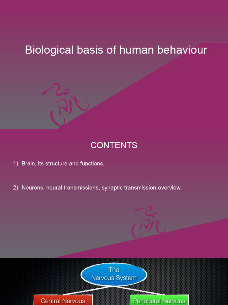 Biological Basis of Human Behaviour | PDF