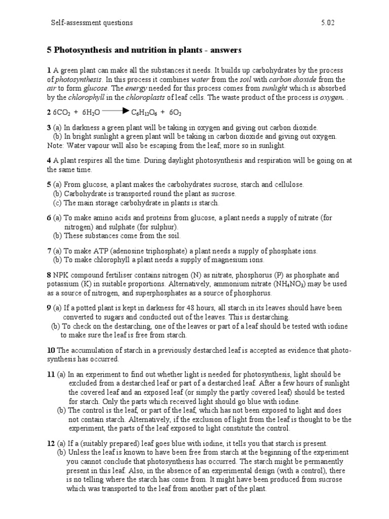 Photosynthesis and Plant Nutrition Explained | PDF | Photosynthesis ...