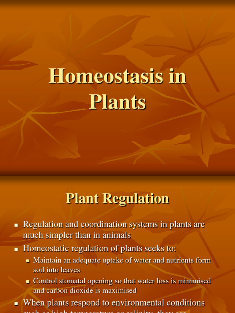 Homeostasis in Plants | PDF