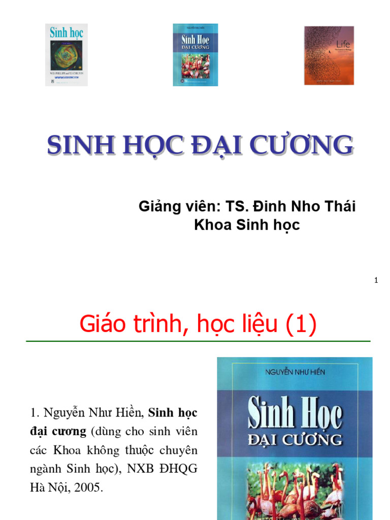 SHDC - Tuan 4 - 2020 - SV | PDF