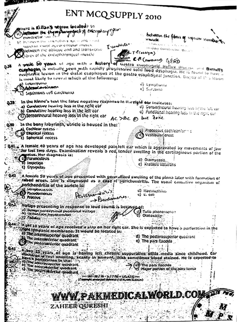 ENT Past MCQ PDF | PDF