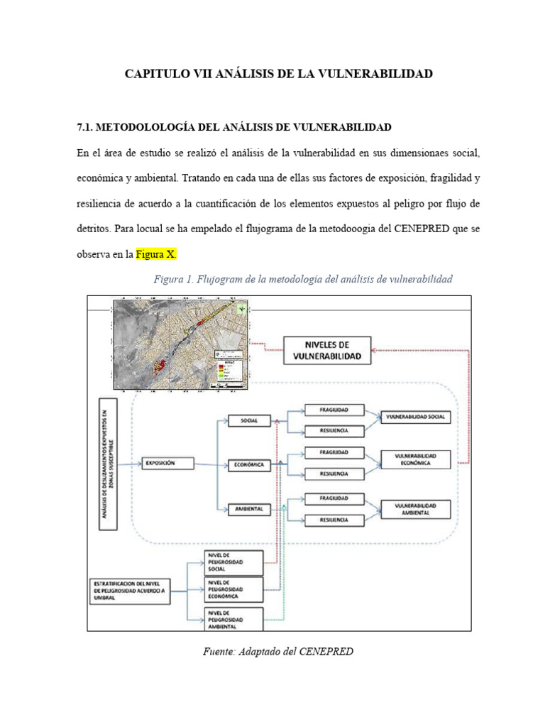 Capitulo Vii Análisis de La Vulnerabilidad | PDF