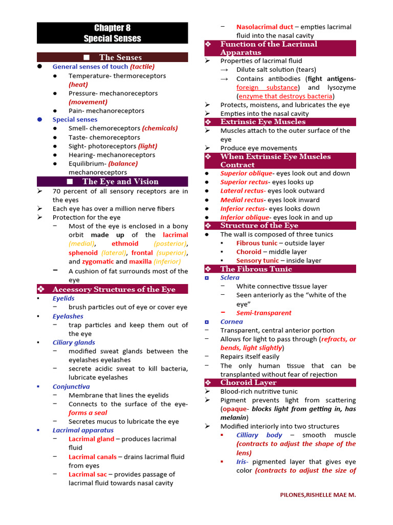 Eye and Ear Anatomy and Functions | PDF | Ear | Taste