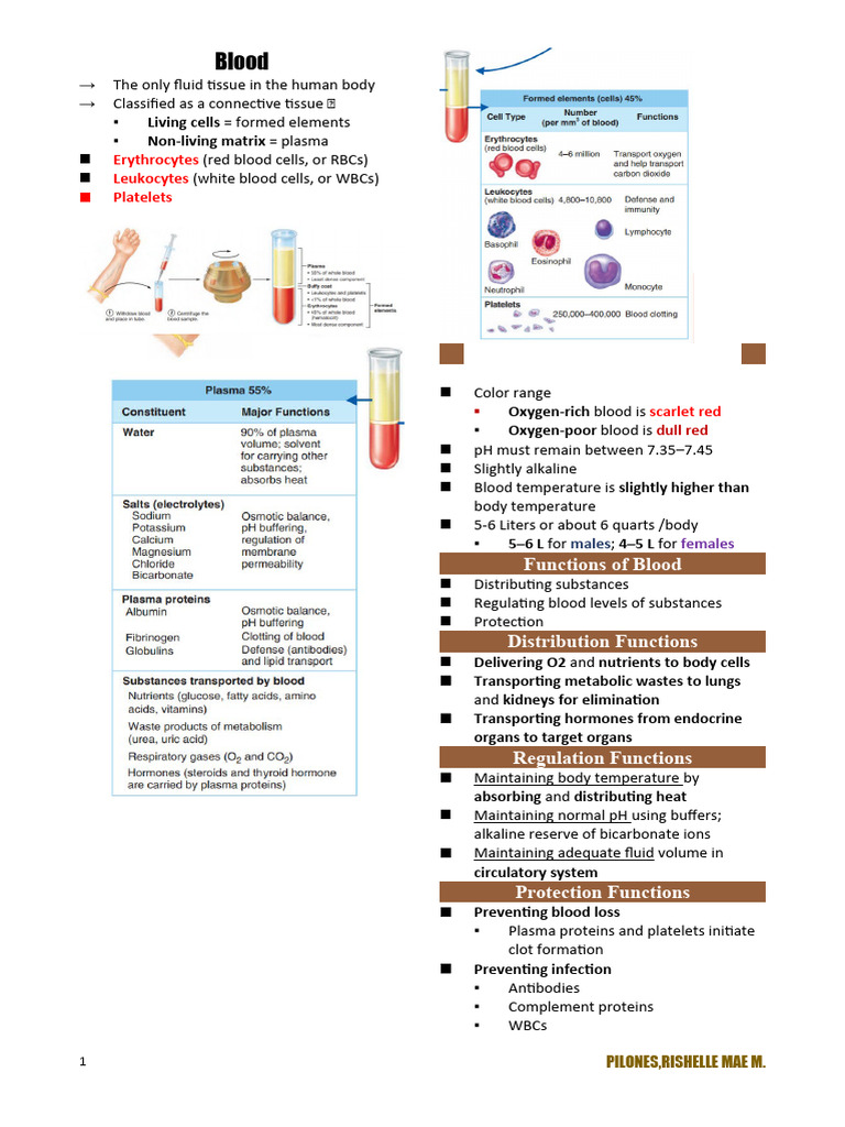 Chapter 10 - Blood | PDF
