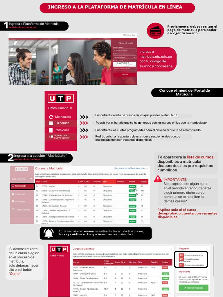 Instructivo de Matrícula en Línea | PDF | Informática | Software