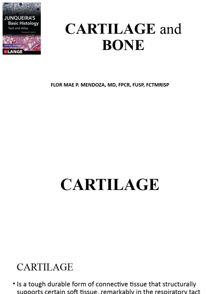 Bones and Cartilage | PDF