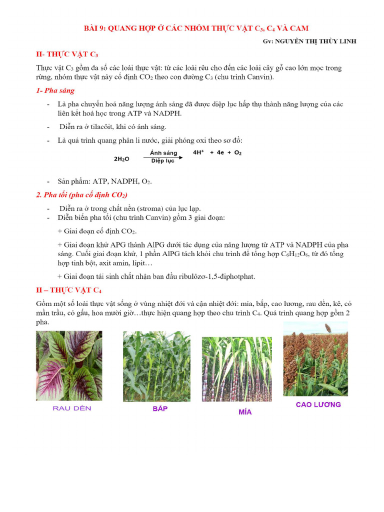 Quang Hop o Cac Nhom TV | PDF