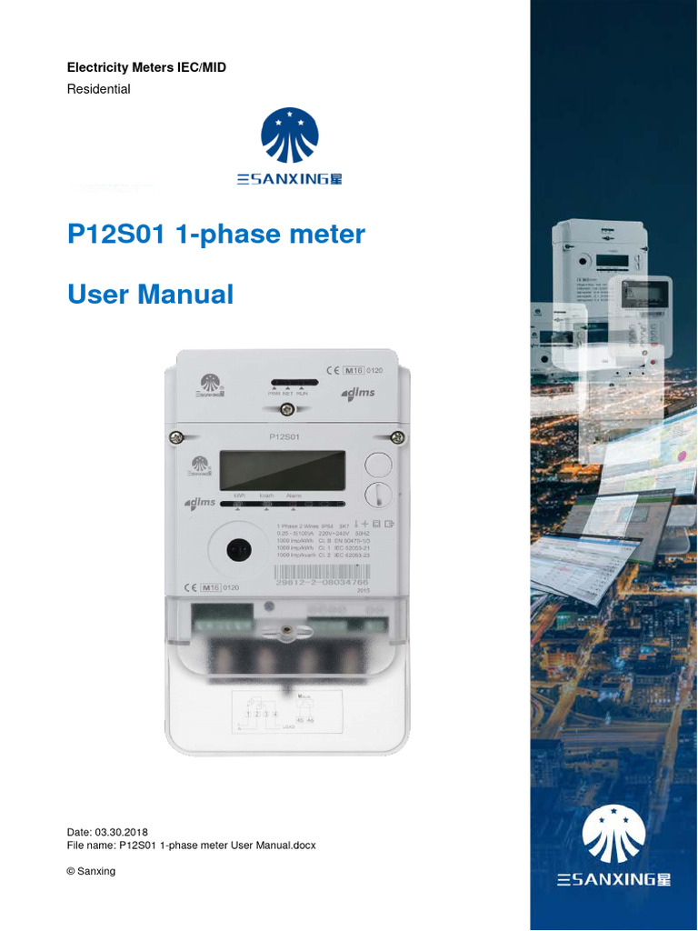 User Manual For P12S01 | PDF | Programmable Logic Controller | Fuse (Electrical)