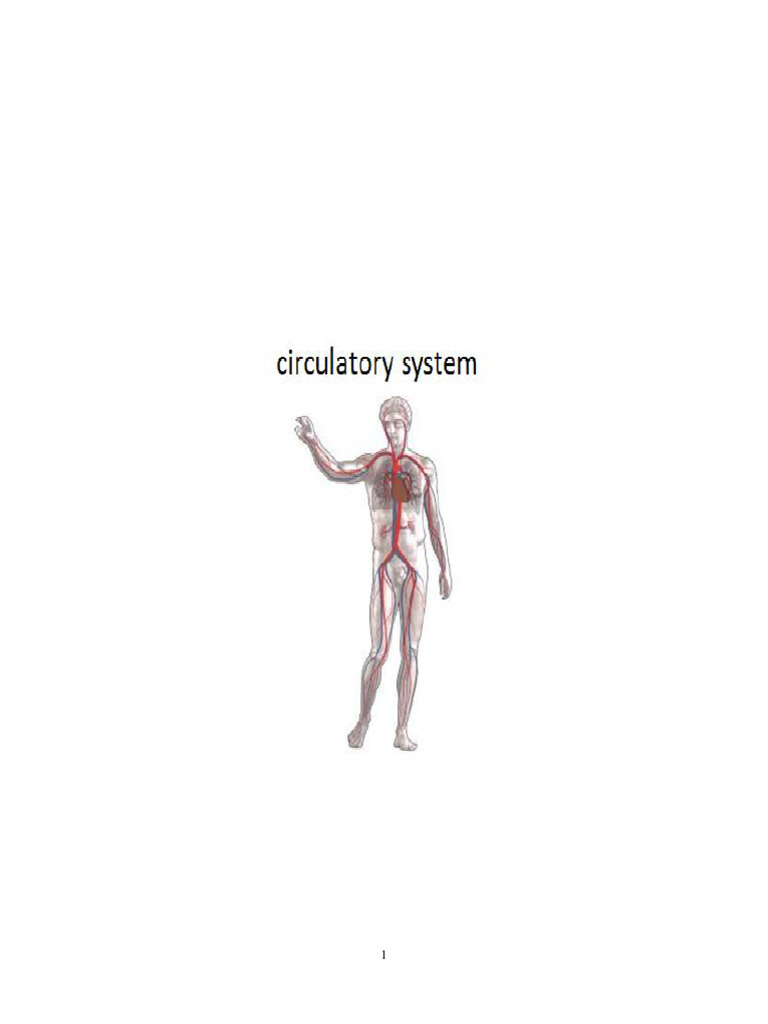 Circulatory System | PDF
