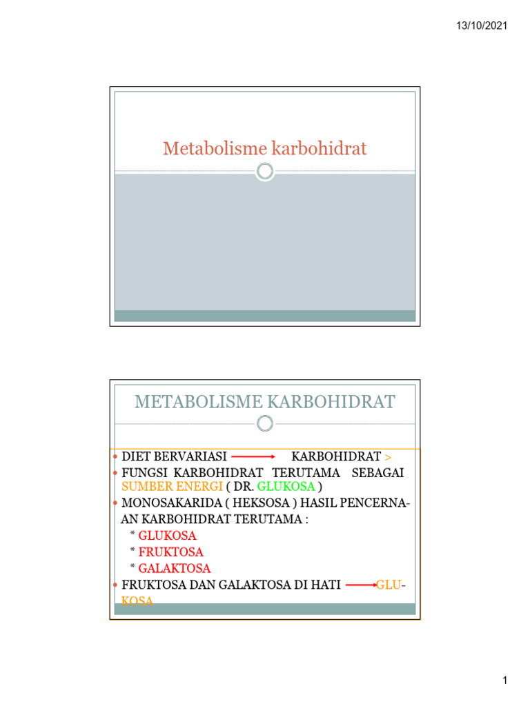 TM2 - Metabolisme Karbohidrat 1 | PDF