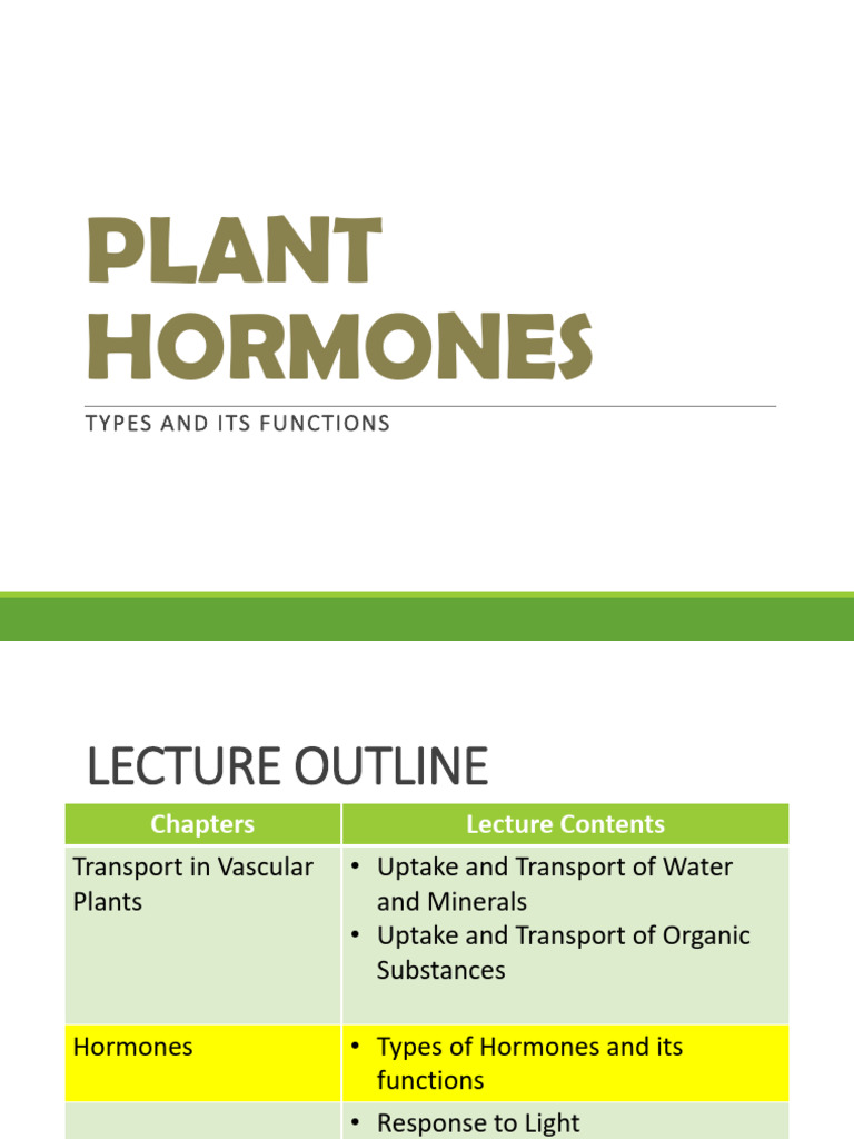 Chapter 12 - Plant Hormones | PDF
