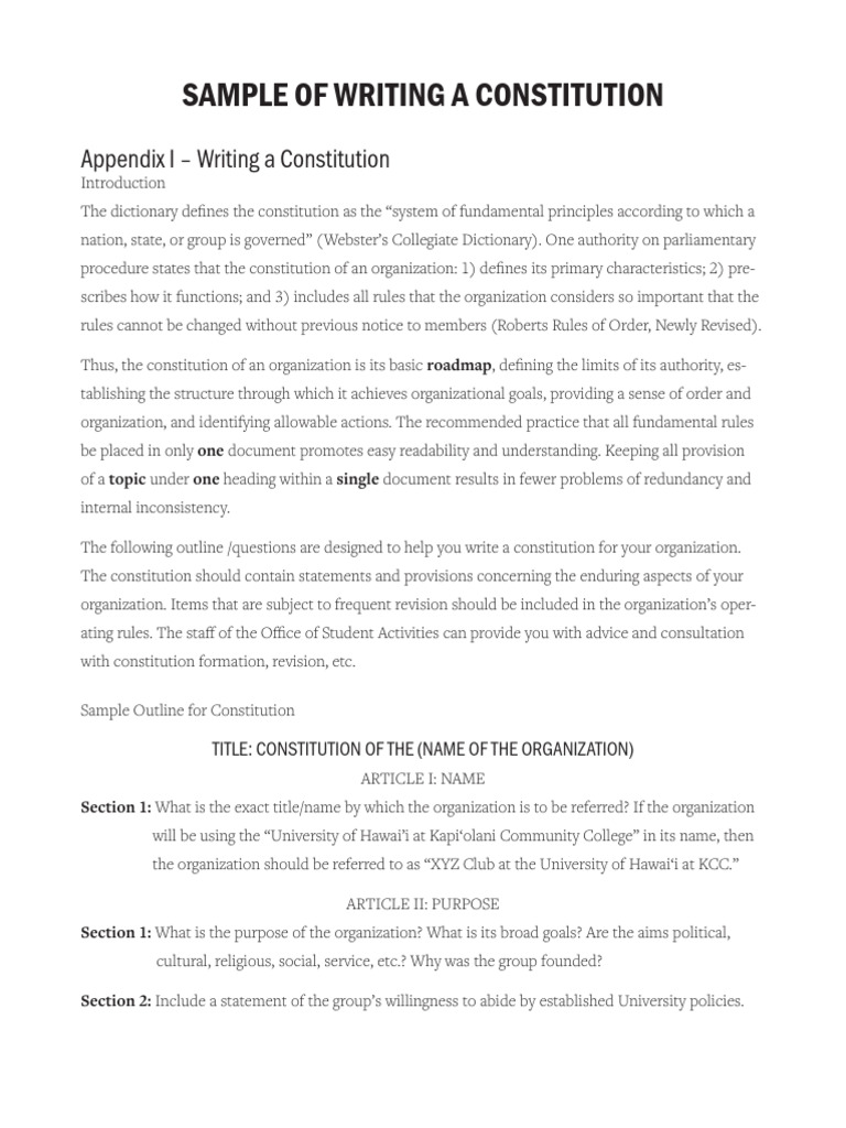 RIO Sample Constitution | PDF | Committee | Board Of Directors