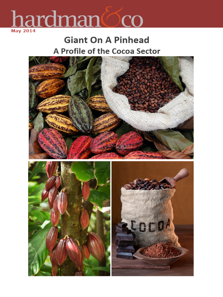 Cacao - Giant On A Pinhead May14 Final | Download Free PDF | Cocoa Bean | Private Sector