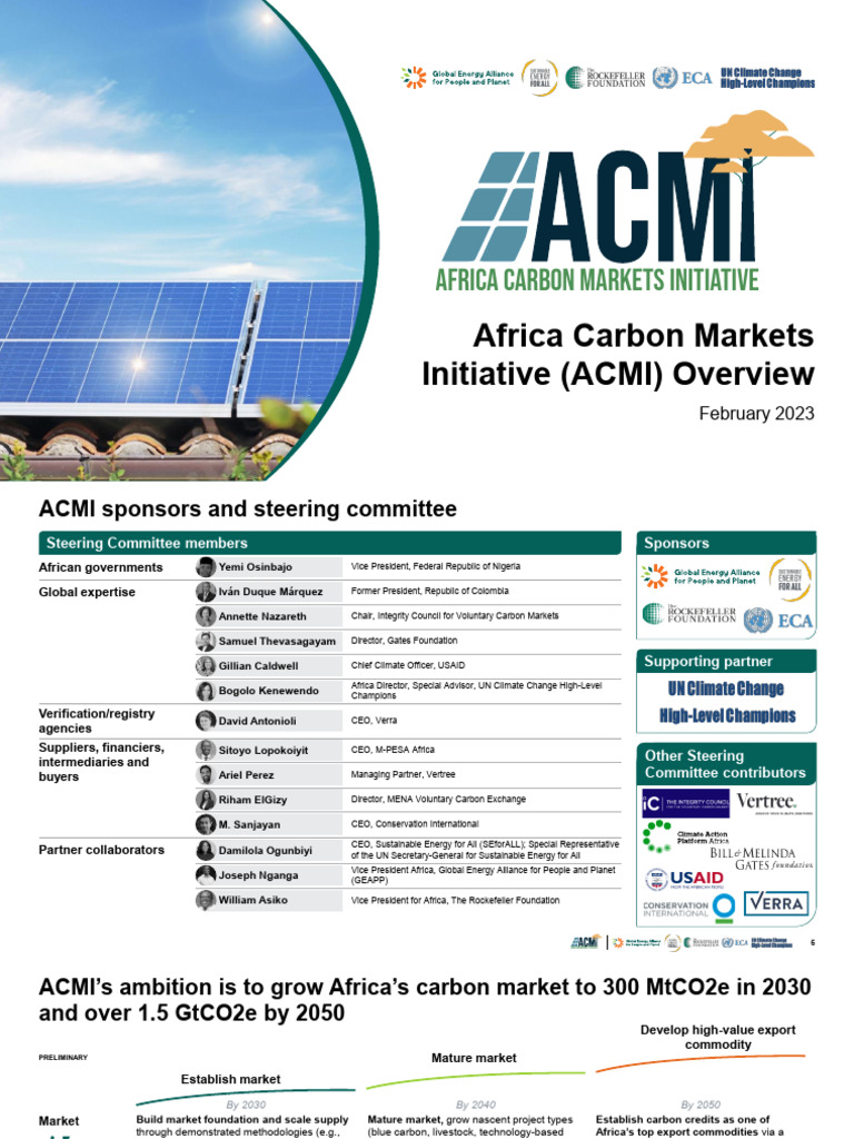 Africa Carbon Markets Initiative (ACMI) Overview - Teleola Oyegoke - 0 ...