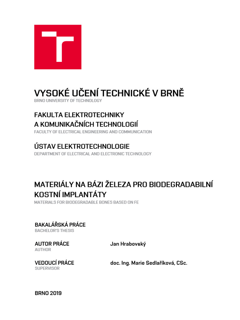 Hrabovsky Jan Bakalarska Prace Online | PDF
