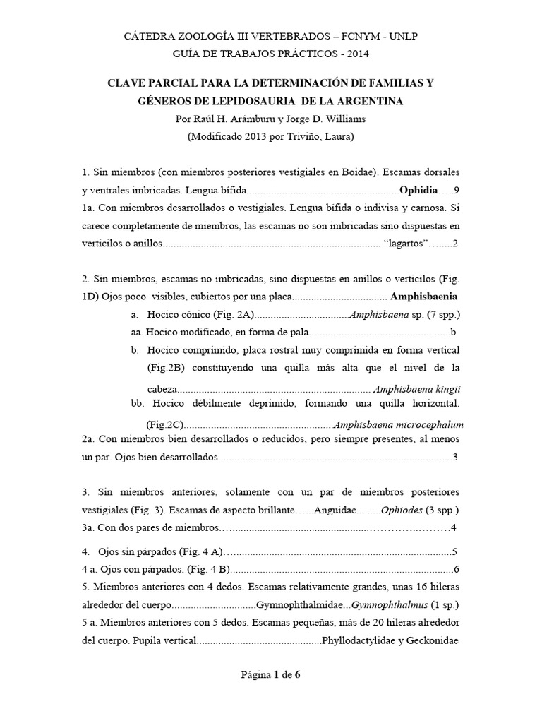 TP 9 Clave Lepidosauria 2015 | PDF | Squamata | Serpiente