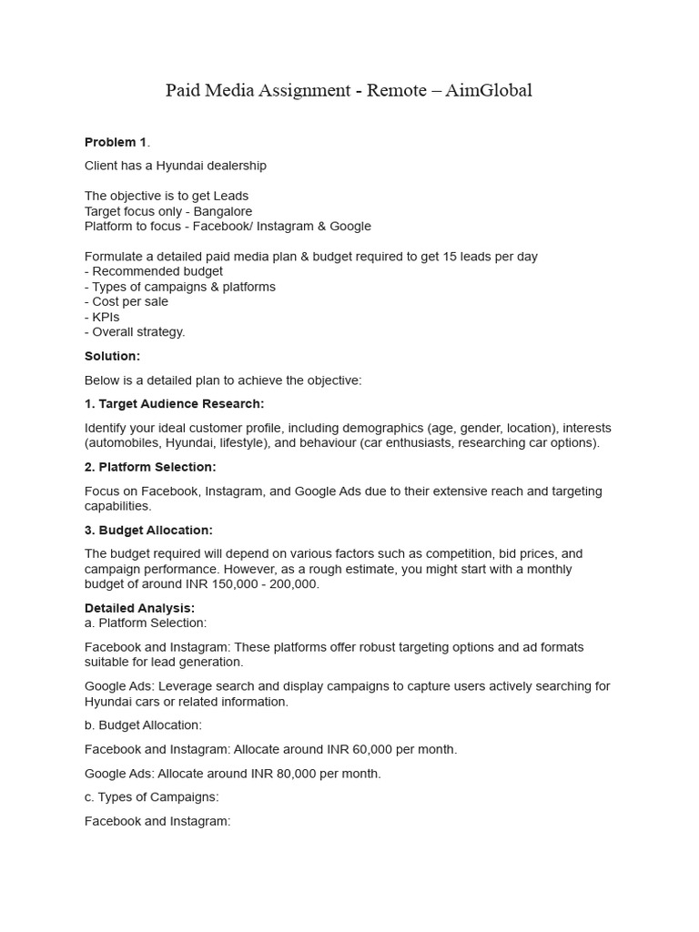 Paid Media Assignment Pdf