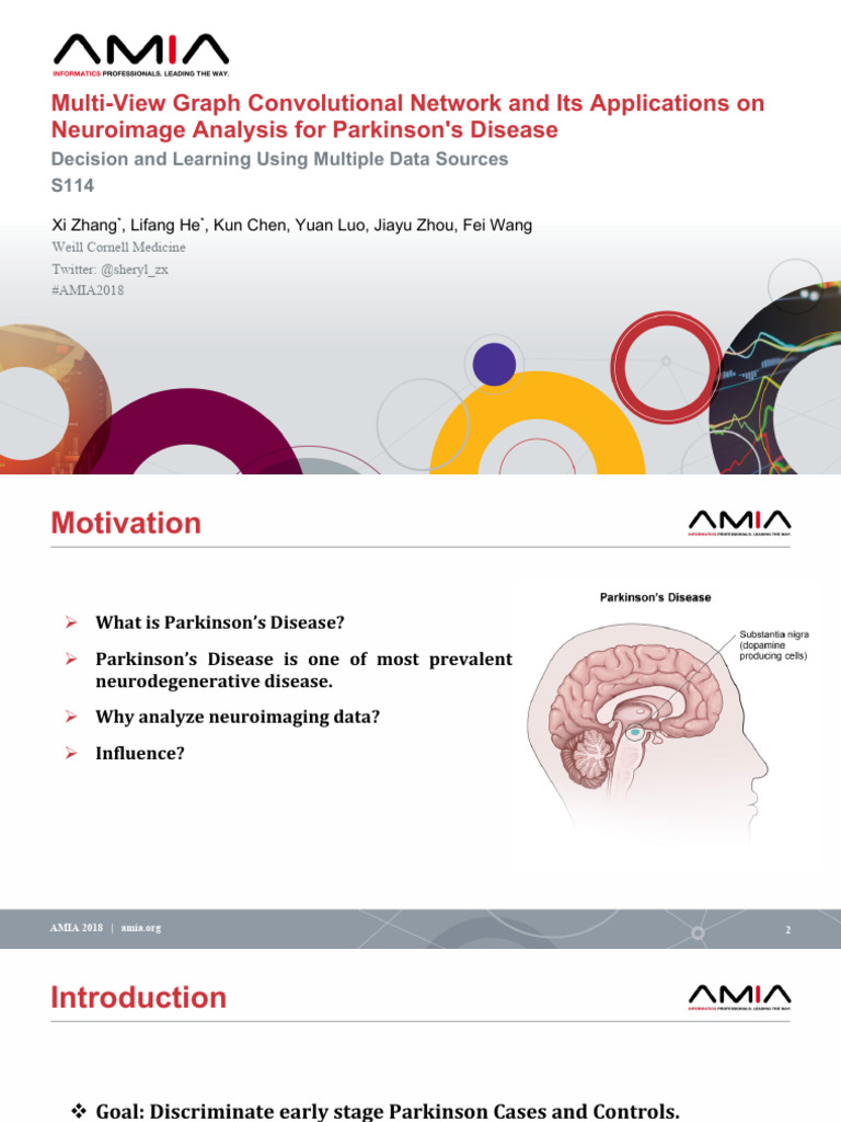 Slides | PDF | Frontal Lobe | Insular Cortex
