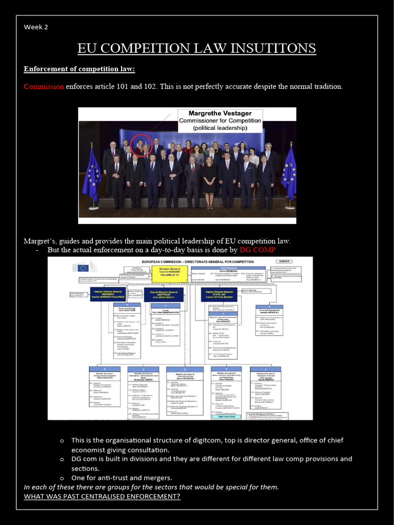 Eu Compeition Law Insutitons | PDF | Competition Law | European Union Law