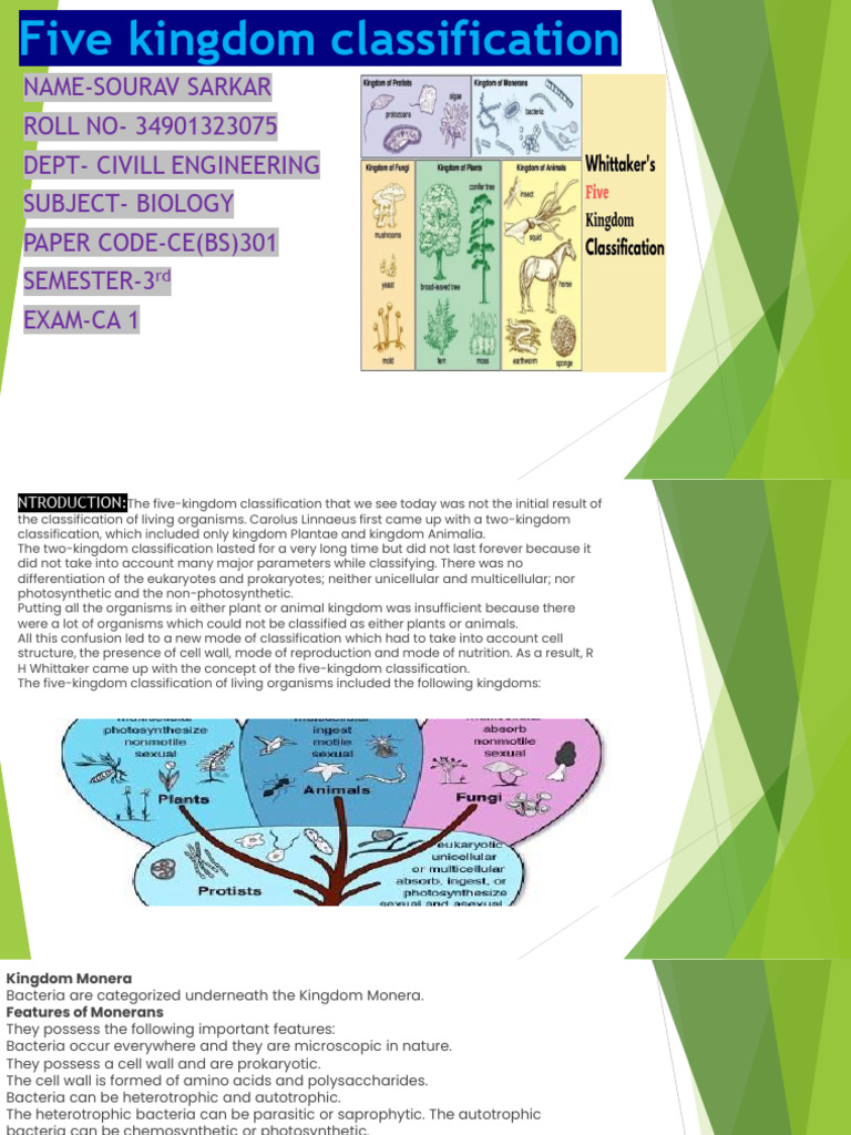 Five Kingdom Classification Overview | PDF | Fungus | Plants