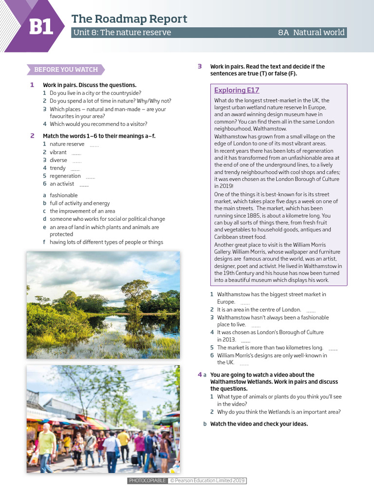 RM B1 Video Worksheets U8 | PDF