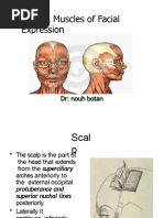 Lateral View of Facial Muscles | PDF | Soft Tissue | Human Anatomy