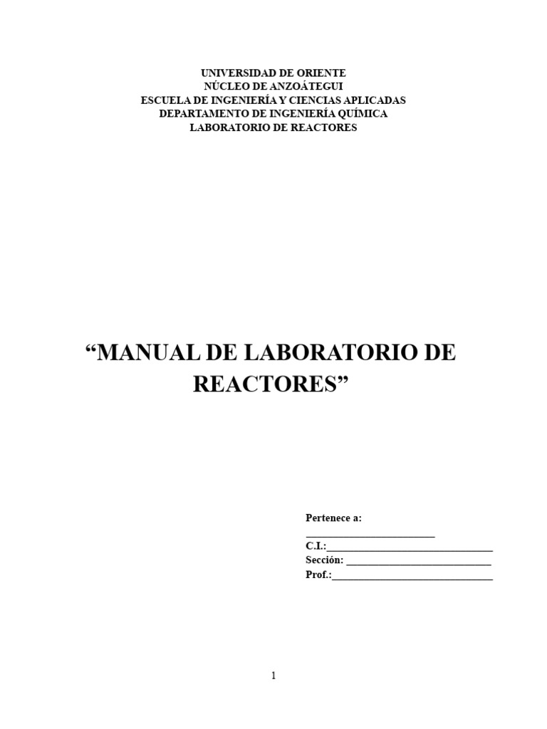 Manual Lab Reactores | PDF