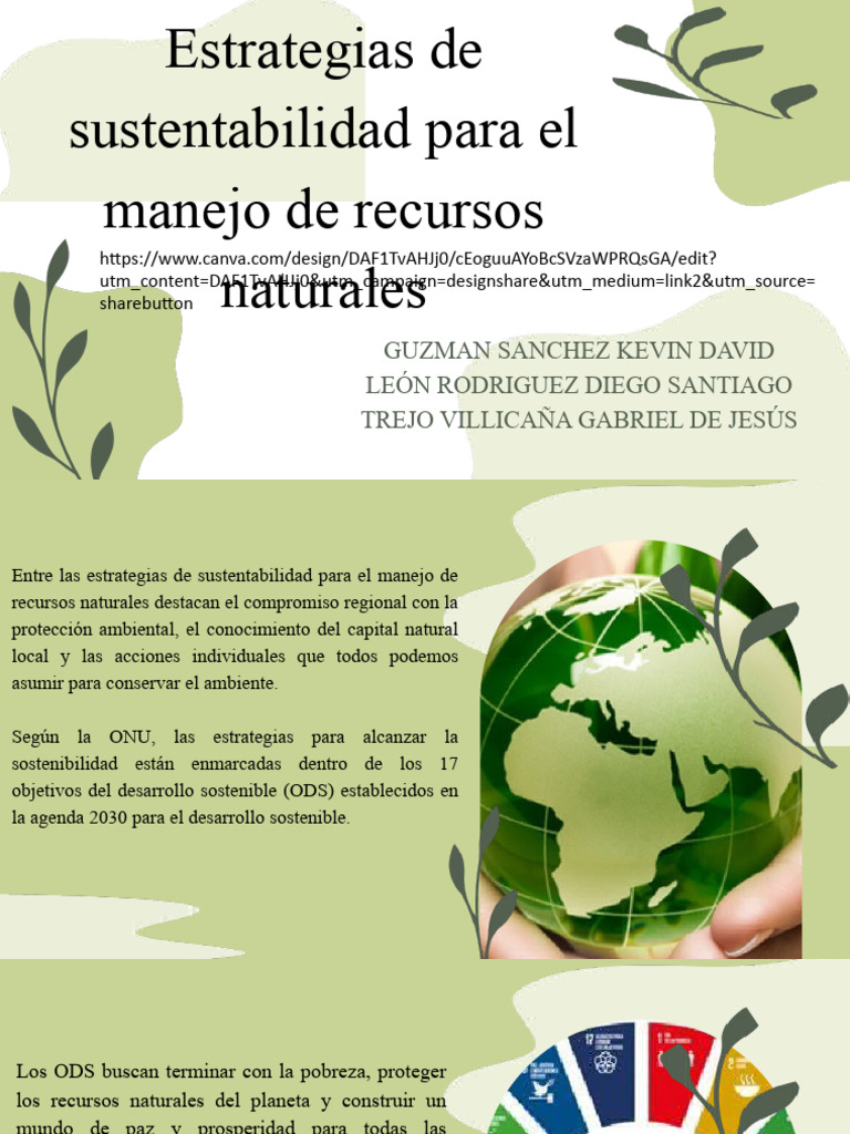 Estrategias para la Sostenibilidad Ambiental | PDF