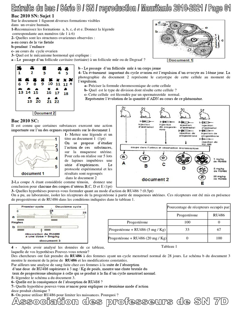 Structures ovariennes et cycle menstruel | PDF | Testicule | Ovaire