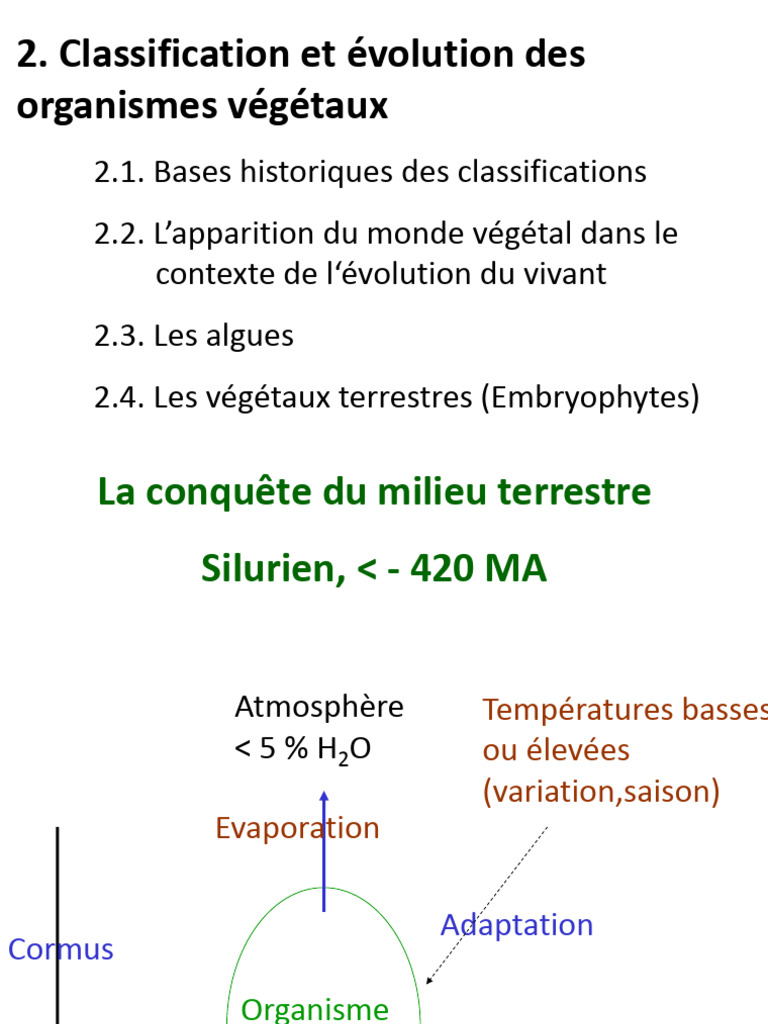 Cours 2 - Classif - Embryophytes | PDF