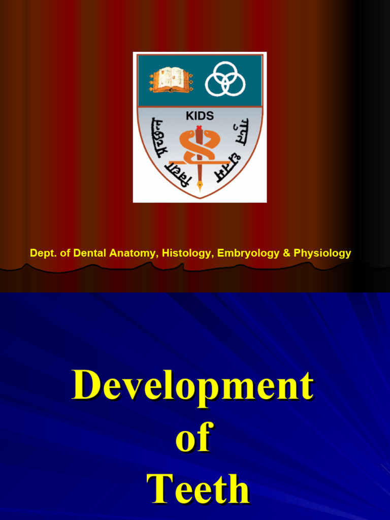 2-Development of Teeth | PDF | Epithelium | Mouth
