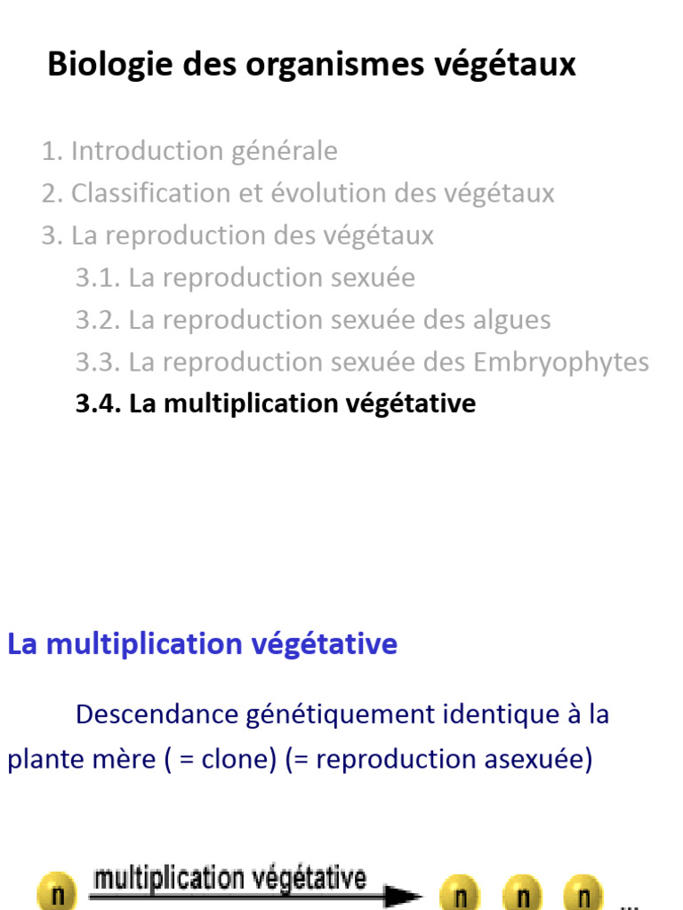 Cours 10 - Multiplication-Vegetative | PDF