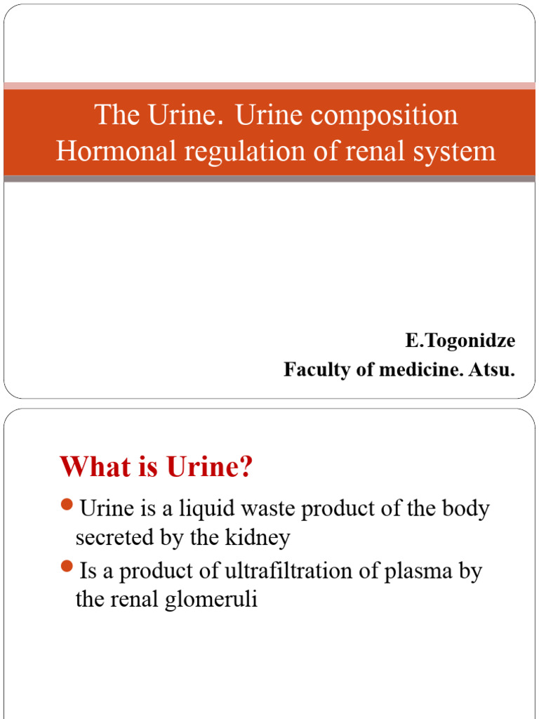 Urine Composition. Hormonal Regulation of Urinalysis | PDF | Kidney | Urine